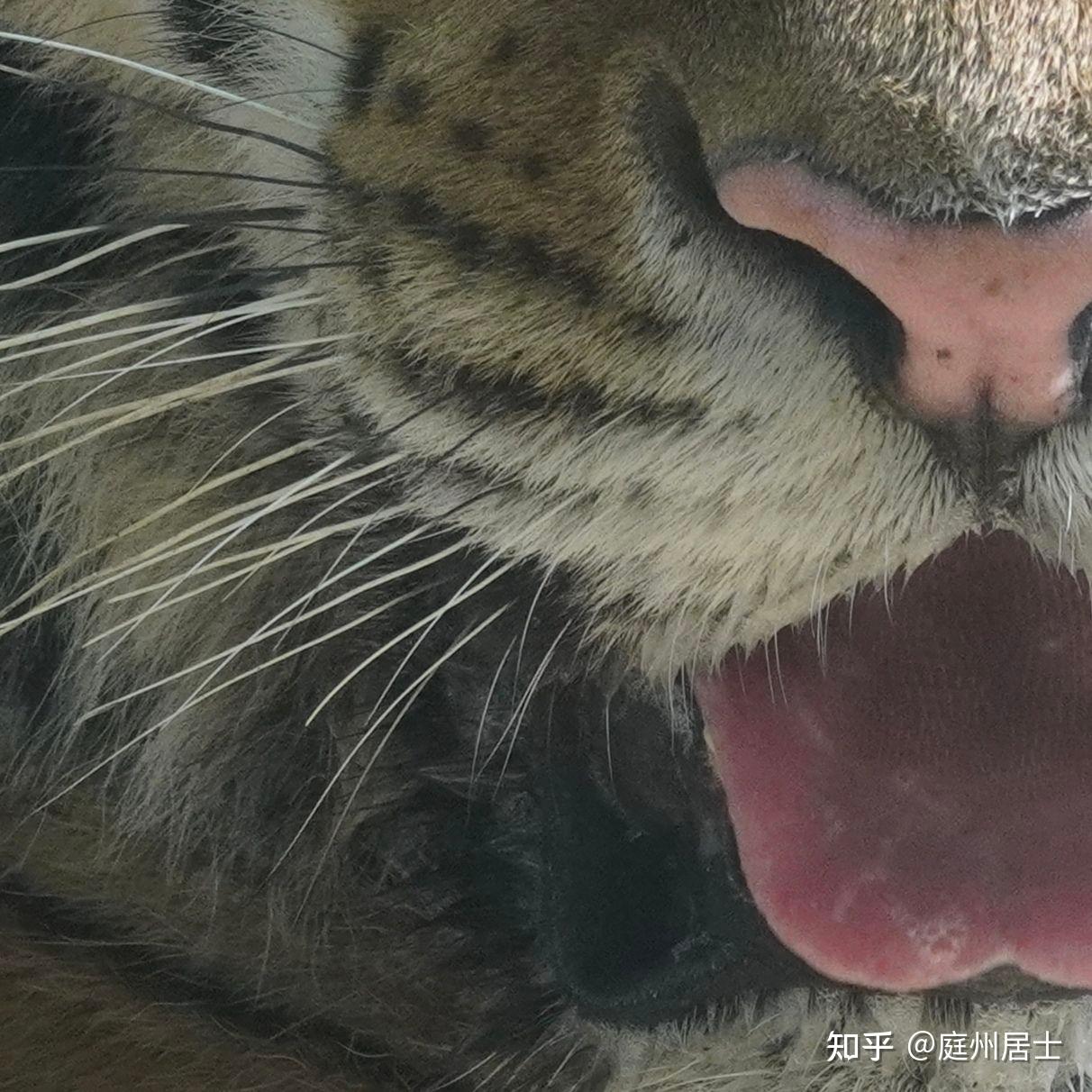 索尼70-350g综合体验(多图) - 知乎