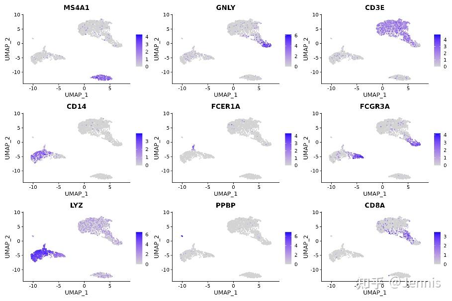 单细胞之Seurat学习与使用 - 知乎