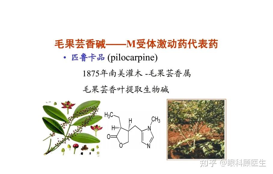 降眼压的药物有哪些？ 知乎