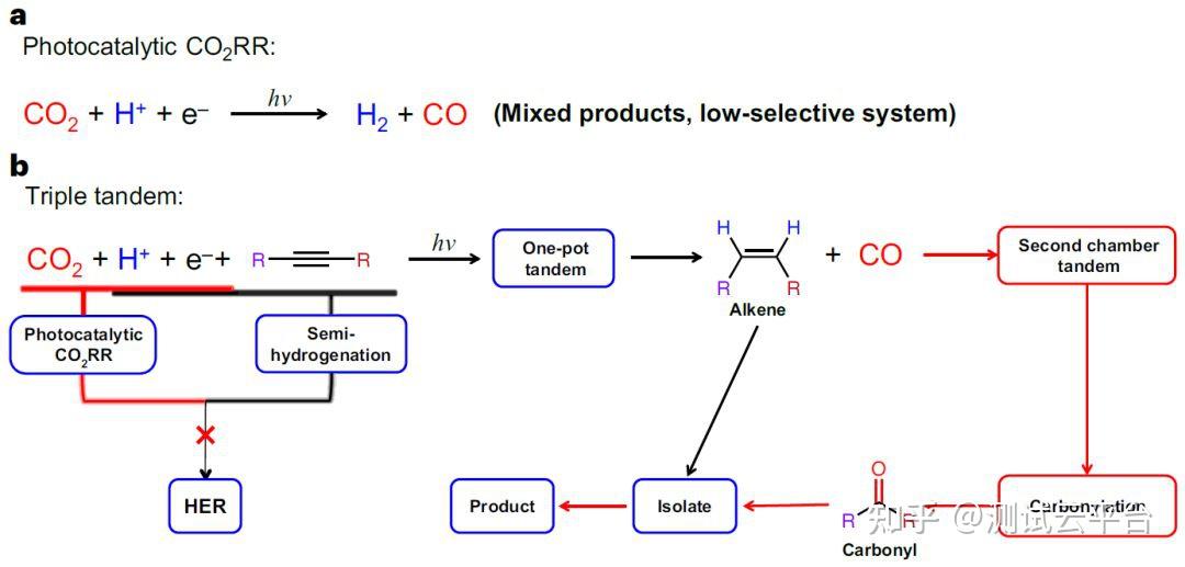这所大学，迎来首篇Nature Synthesis！ - 知乎