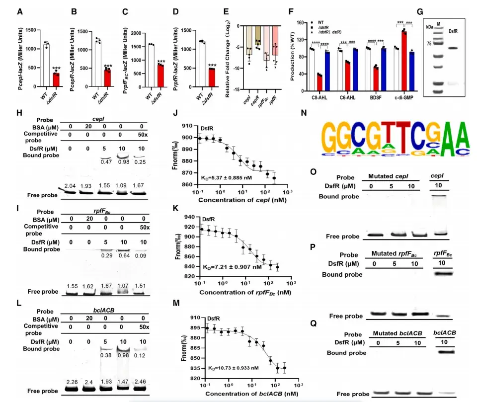 项目文章 | Cell Reports&ChIP-seq和RNA-seq联合鉴定伯克霍尔德氏菌毒性的重要调节因子 - 知乎