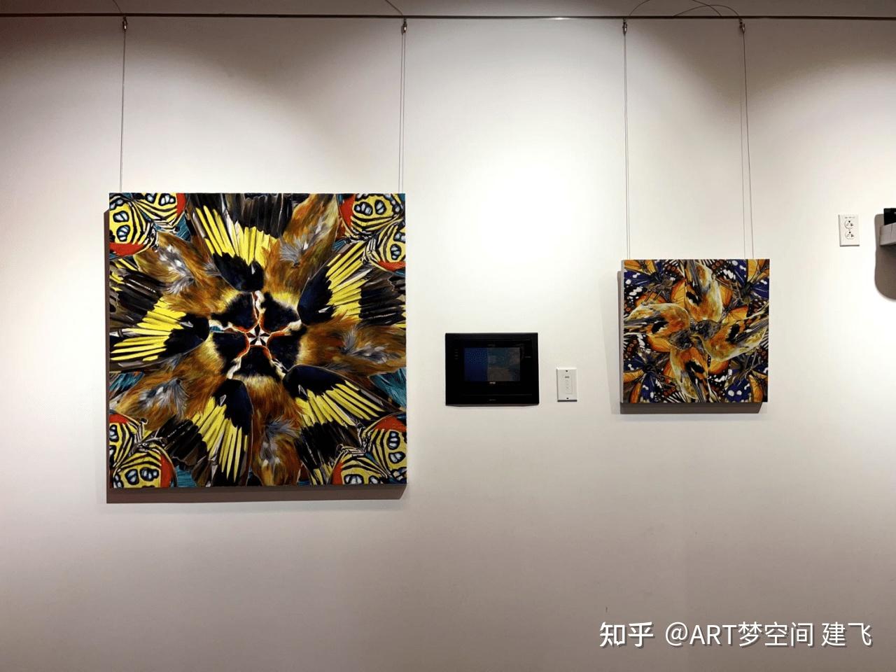 平行物种“Species in Balance” Augustina Droze 奥古丝汀娜艺术展 - 知乎