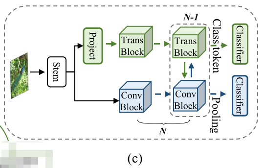 Conformer: Local Features Coupling Global Representations for Visual Recognition - 知乎