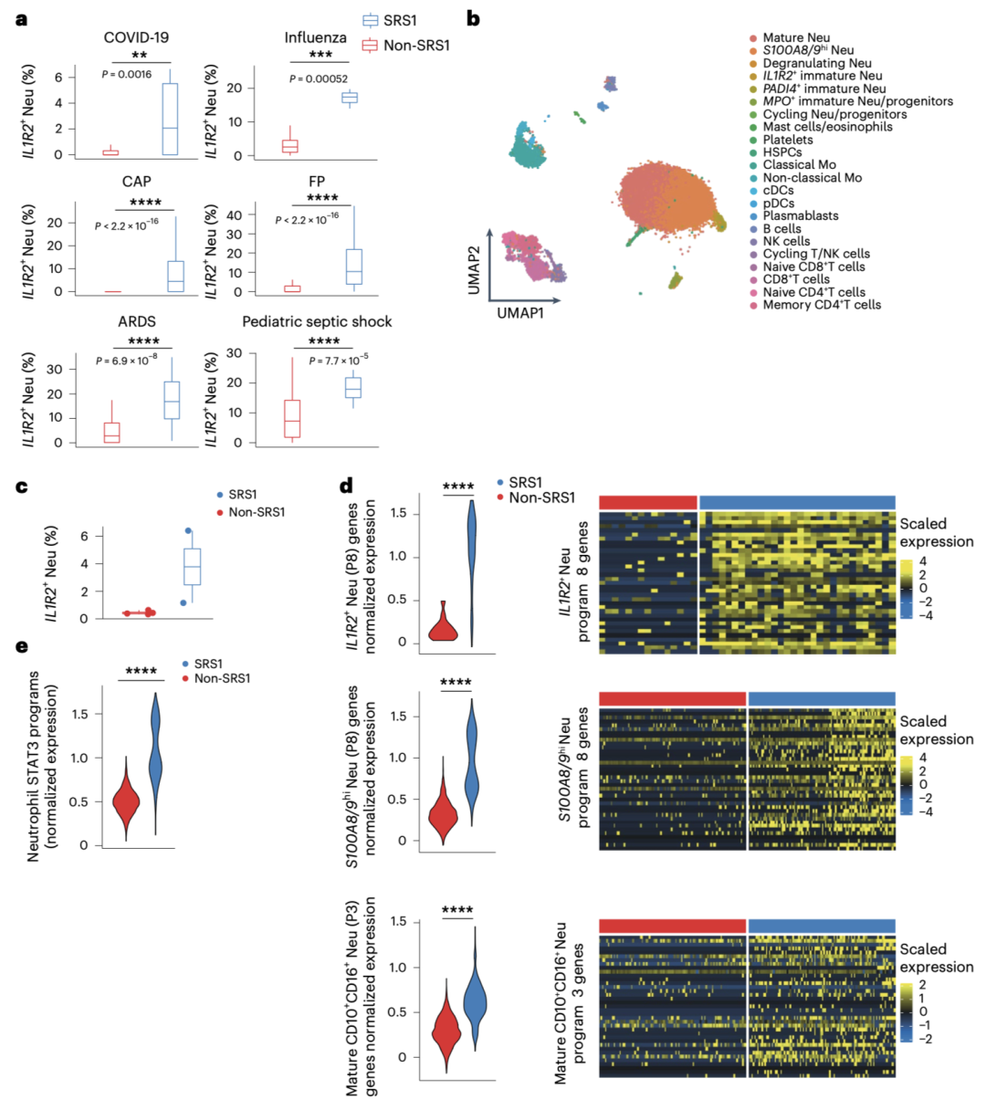 Nature Immunology丨中性粒细胞和急性粒细胞生成导致脓毒症期间的免疫抑制和极端反应内型 - 知乎