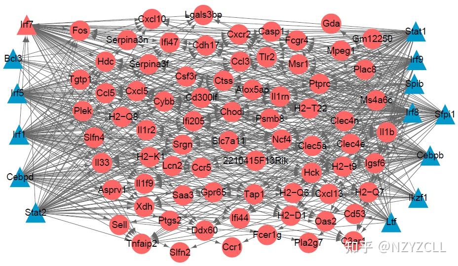 GO KEGG相关分析 - 知乎