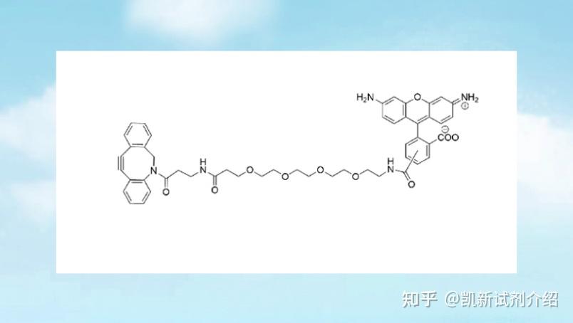 DBCO Carboxyrhodamine 110 快速入门：从功能特点到应用的“傻瓜式”操作手册 - 知乎
