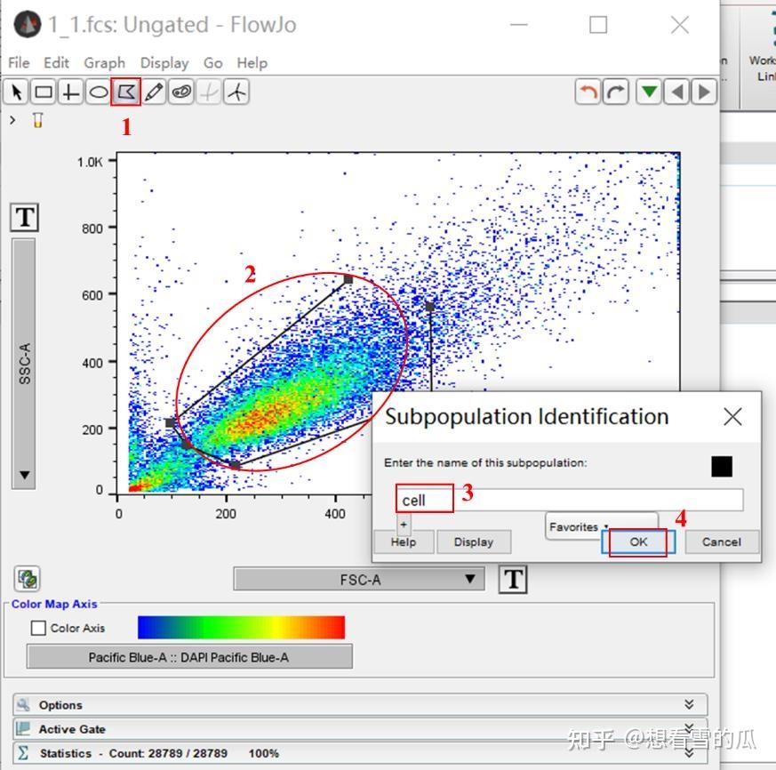 Flowjo处理流式数据—细胞周期分析 - 知乎
