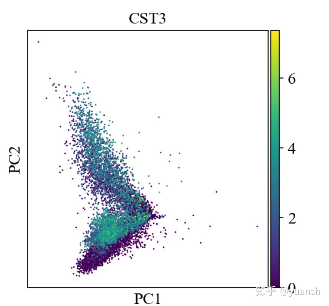 （单细胞-SingleCell）scanpy实现seurat流程-（python单细胞） - 知乎