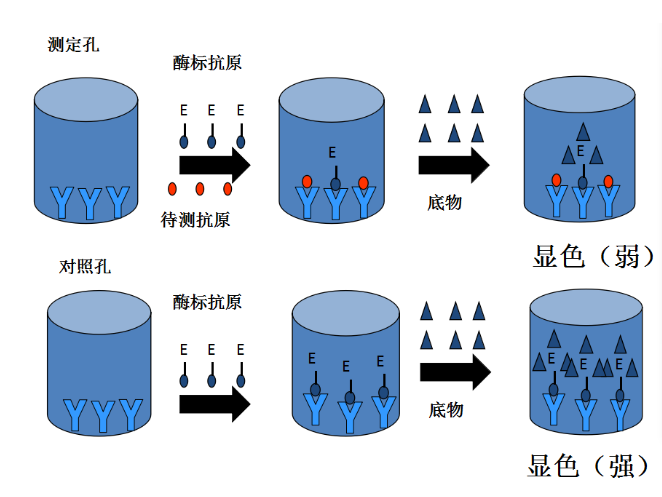 ELISA常见类型介绍 - 知乎