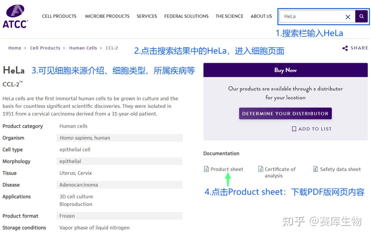 赛库细胞学堂|超详细！细胞数据库及使用方法整理！ - 知乎