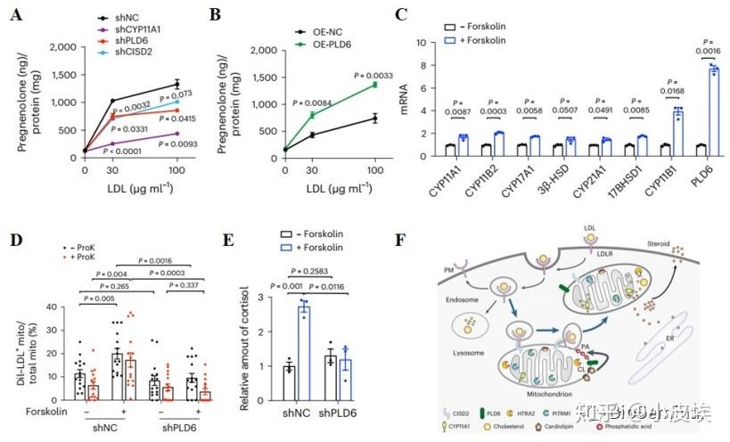 Nature Cell Biology | 新知识：细胞蛋白降解的第三条途径 - 知乎