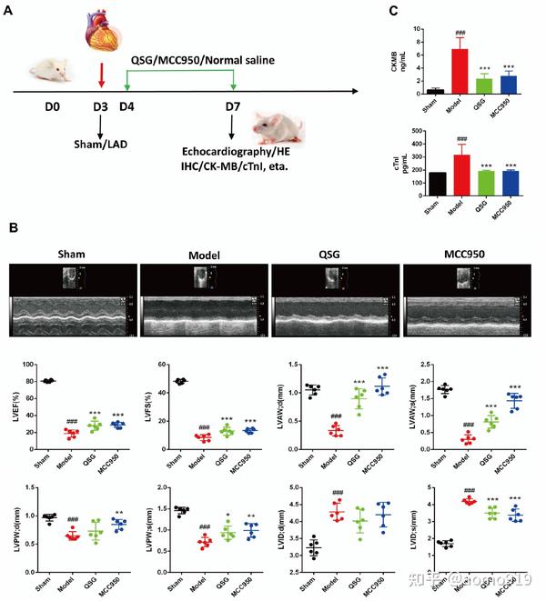 AbMole科研-芪参颗粒治疗急性心肌缺血的新途径P2X7R-NEK7-NLRP3炎症体的激活 - 知乎