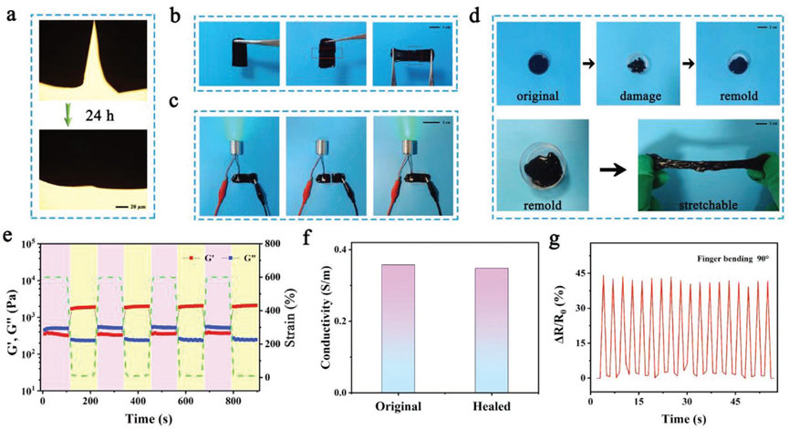 《AFM》吉林大学房力男/林权：MXene/PAAm导电水凝胶传感器，用于减少放疗中瘤周器官的辐射损伤 - 知乎