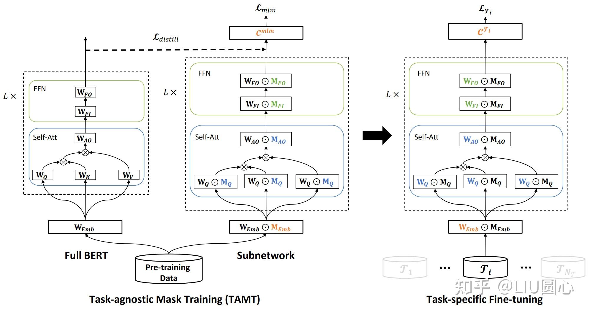 学习可迁移的BERT子网络结构 | NAACL 2022 - 知乎
