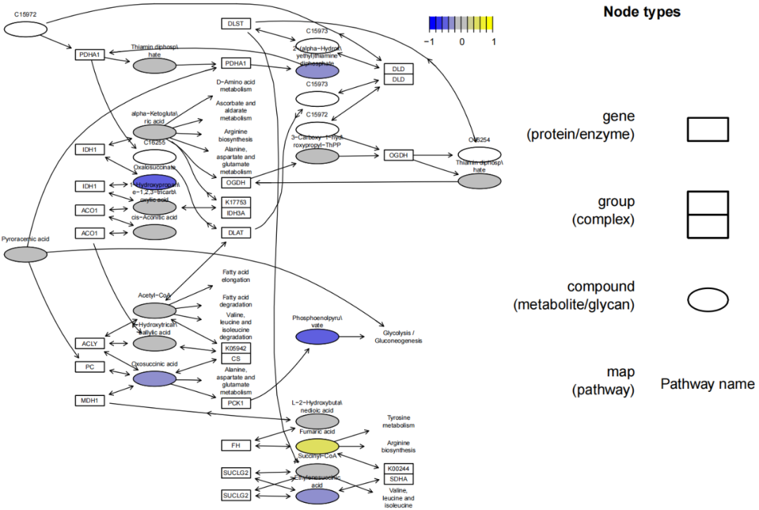 干货分享 | 实现通路与组学数据的结合，一个pathview就够啦！ - 知乎