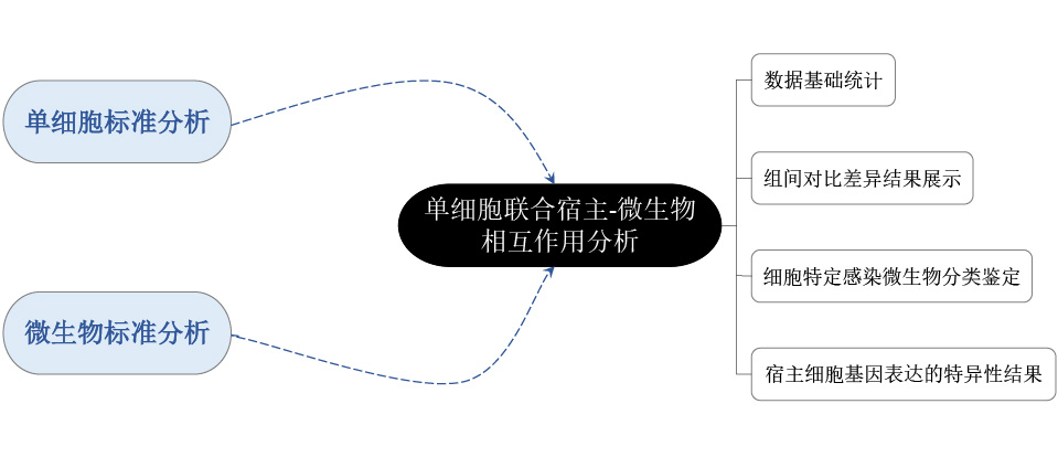 我罗万象| 新格元scRNA宿主-微生物相互作用分析方案 - 知乎