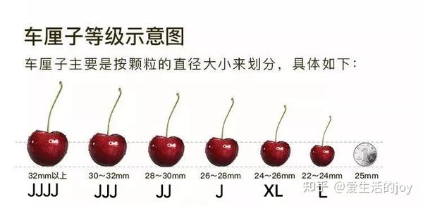 车厘子等级揭秘：J、JJ、JJJ、JJJJ代表什么？ - 知乎
