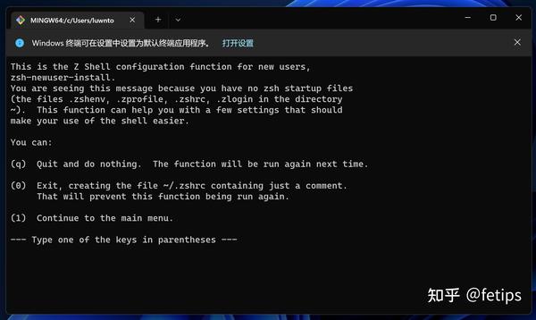 Windows安装Zsh终端 - 知乎