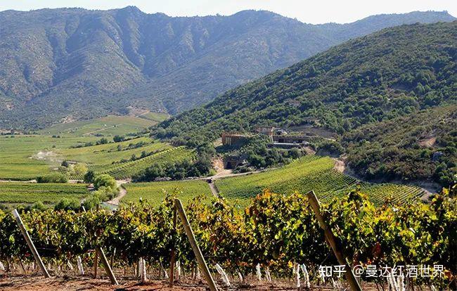 世界著名葡萄酒产区之一：智利中央山谷central Valley，独特地域酿造出的精品好酒 知乎