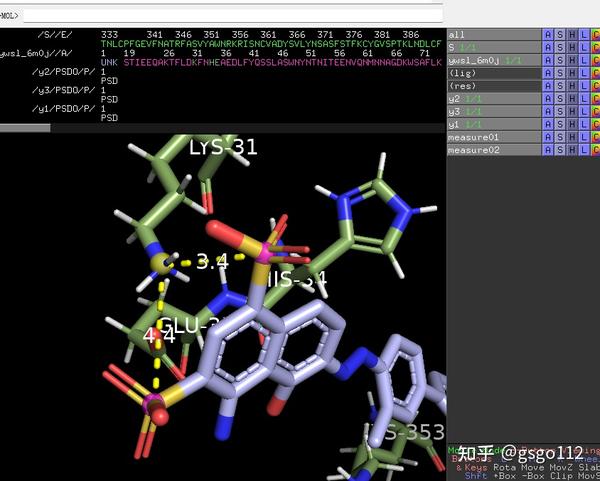 Pymol处理对接结果作图 - 知乎