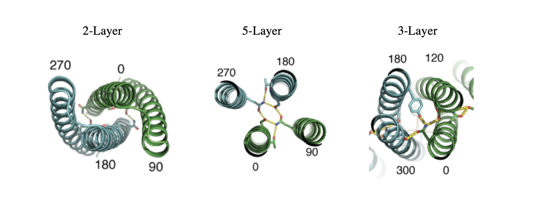 Rosetta BundleGridSampler: 参数化生成Coiled-Coil结构 - 知乎