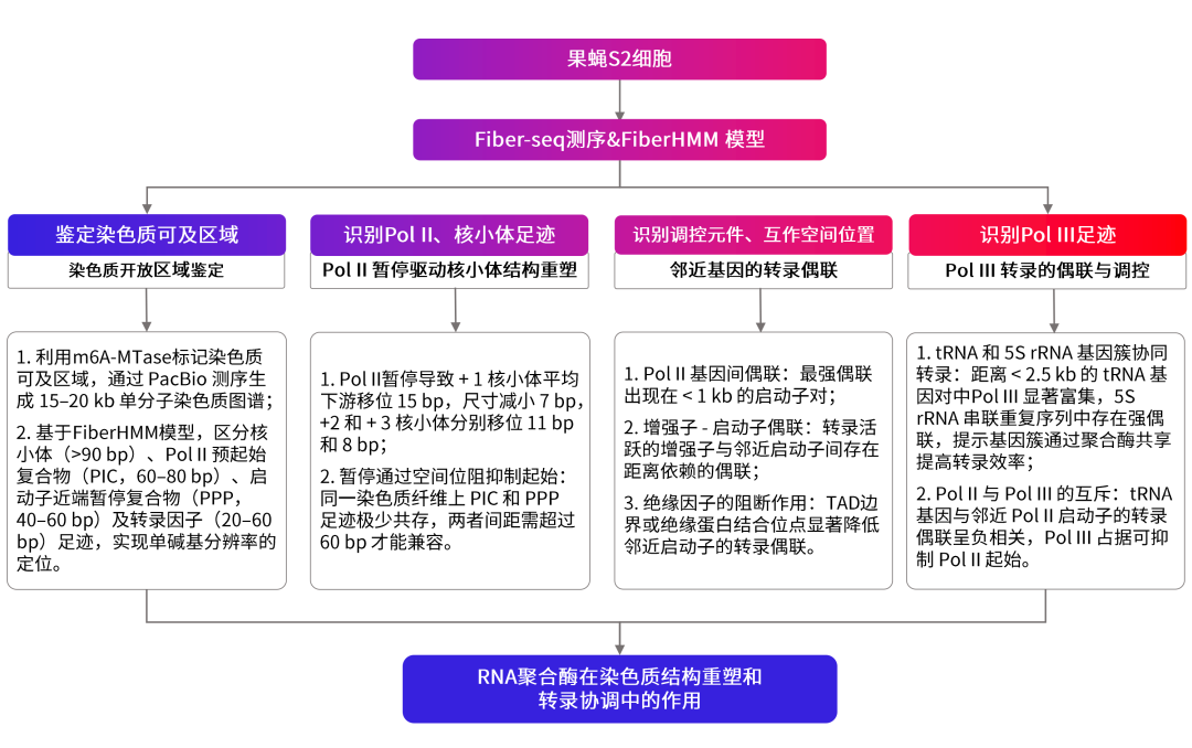 Fiber-seq丨贝瑞基因引领探索Fiber-seq高清图谱重塑动植物多组学研究版图 - 知乎
