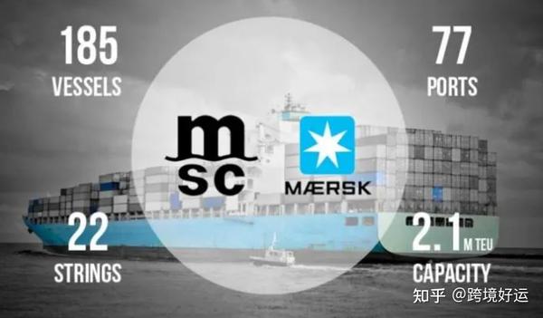 海运科普| 2M/OA/TA联盟都是啥？今天捋清楚了！ - 知乎