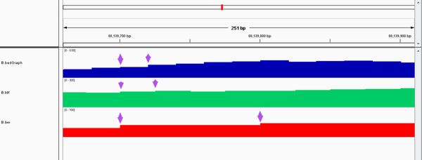 ChIP-seq/DAP-seq/ATAC-seq/CUT&Tag结果可视化-IGV使用攻略 - 知乎
