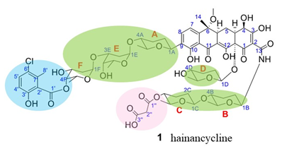 Chem Sci│基因组挖掘发现新颖四环素类抗生素及其基因簇功能鉴定 - 知乎