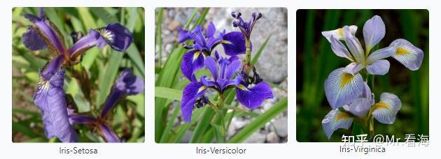 【深度学习 第5篇】使用python快速实现cnn分类（模式识别）任务，含一维、二维、三维数据演示案例（使用pytorch框架） 知乎