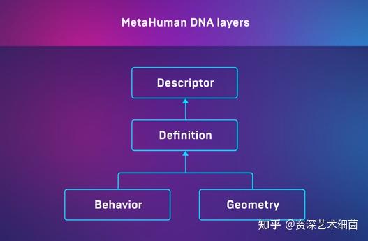 MetaHuman 实时环境面部装配逻辑 - 知乎