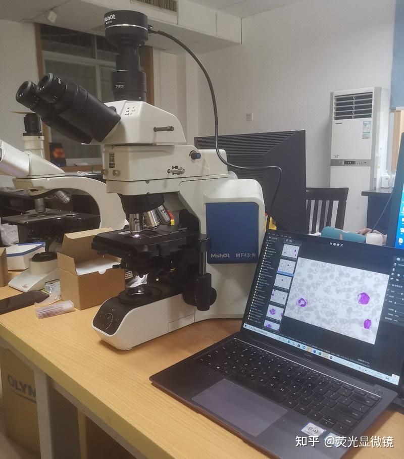 显微镜能怎样看细菌？ - 知乎