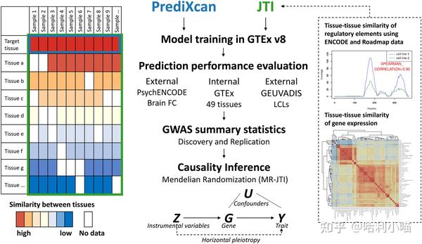 [文献分享] IF30+ MR-JTI TWAS模型 详细解读 - 知乎