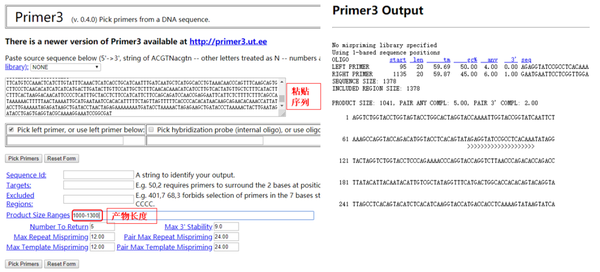常用生物学软件的安装与应用（三）—Primer6 - 知乎
