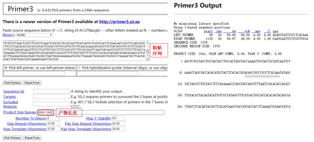 常用生物学软件的安装与应用（三）—Primer6 - 知乎
