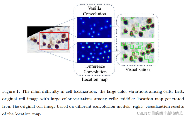 Lite-UNet: 轻量且高效的细胞定位模型，轻量化的U-Net - 知乎
