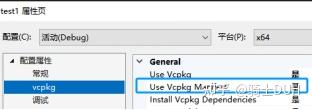 vs2022使用vcpkg最全版本 - 知乎