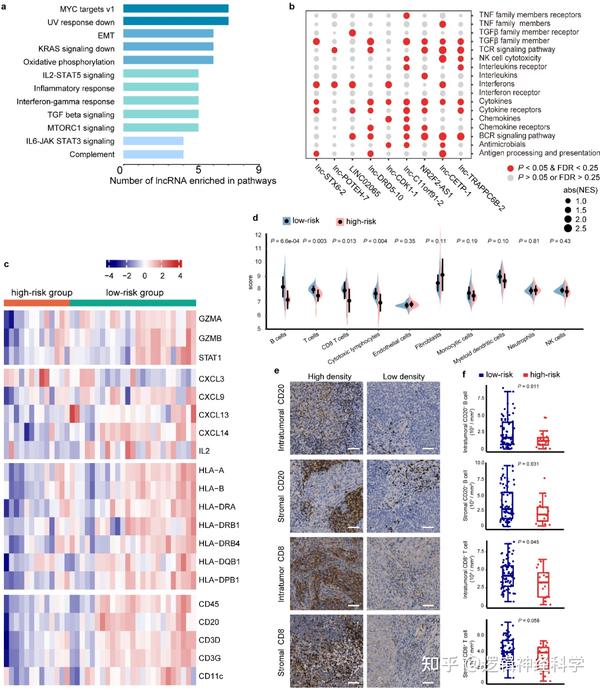 Nat Commun︱马骏/柳娜/黎映琴/蒋伟团队发现一组与鼻咽癌免疫异质性相关的lncRNA标志物有效预测远处转移 - 知乎