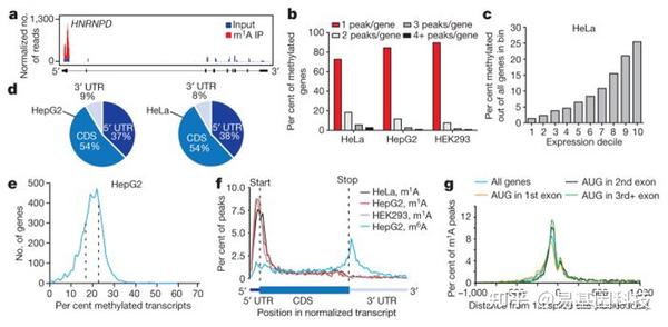 易基因｜m1A RNA甲基化测序（MeRIP-seq/m1A-seq） - 知乎