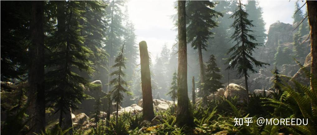 干货分享 | 大神教你玩转Speedtree - 知乎