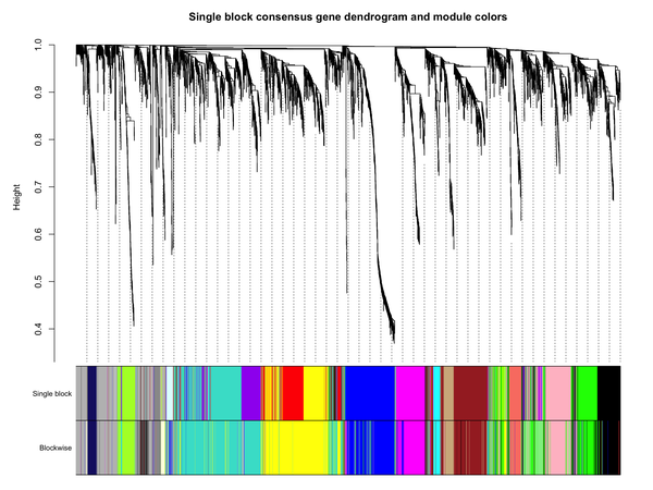 🤠 WGCNA | 不止一个组的WGCNA怎么分析嘞！？~（二）（共识网络分析-第二步-构建网络与模块-Blockwise） - 知乎