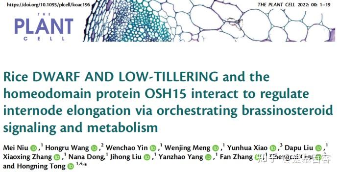 喜讯！近期3篇8分+ChIP-seq客户文章连发，王牌产品ChIP-seq文章盘点 - 知乎