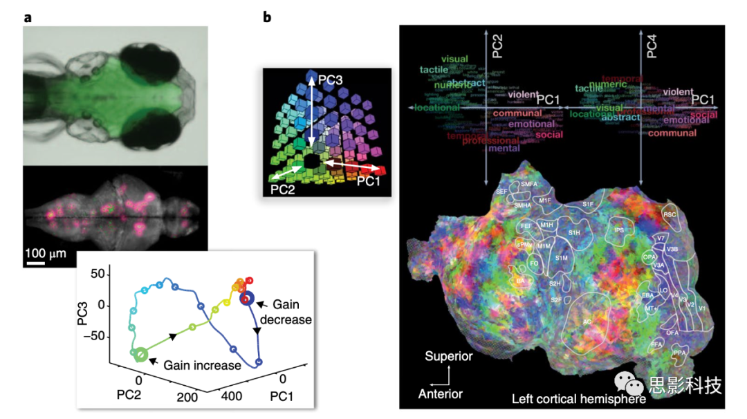 文献｜Nature Neuroscience：认知计算神经科学 - 知乎