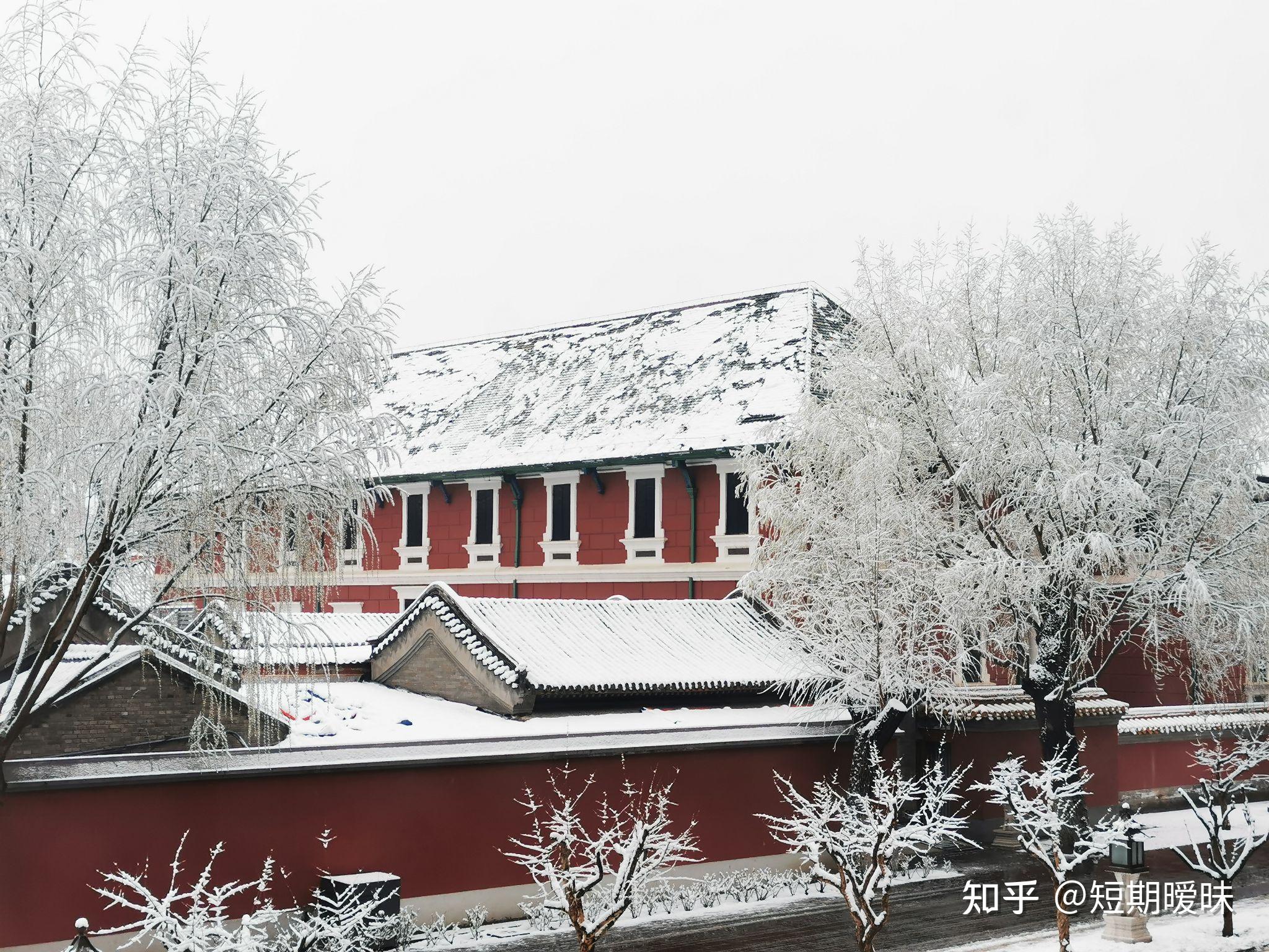 三月的雪 - 知乎