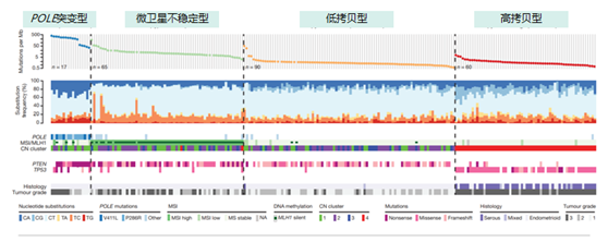 子宫内膜癌分子分型学习笔记 - 知乎
