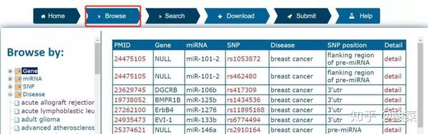 miRNA SNP与疾病相关数据库——MSDD - 知乎