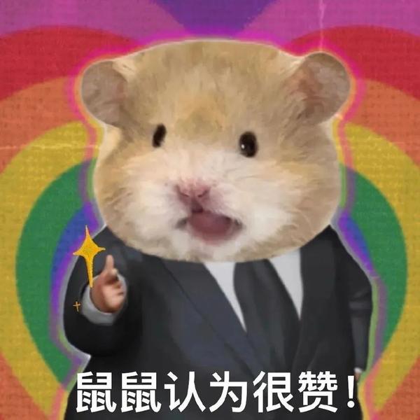 表情包：鼠鼠表情包 知乎