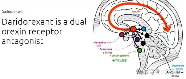 先声药业治疗失眠新药——盐酸达利雷生/Daridorexant的合成路线 - 知乎
