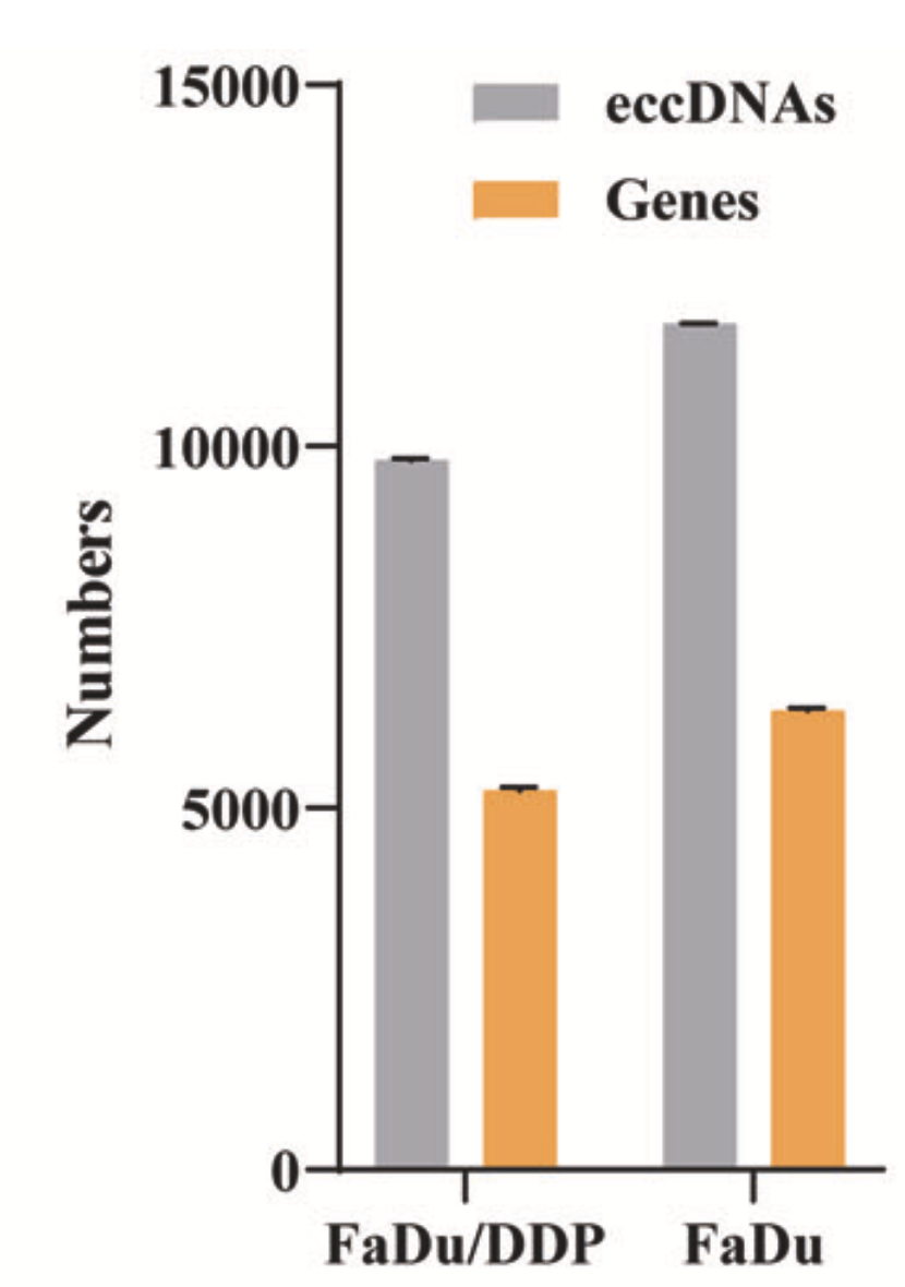 先收藏：2022年 eccDNA 研究现况汇总 - 知乎