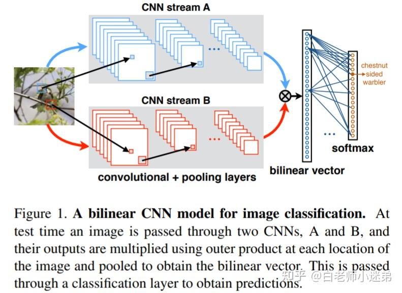 Bilinear Attention Networks 笔记 - 知乎